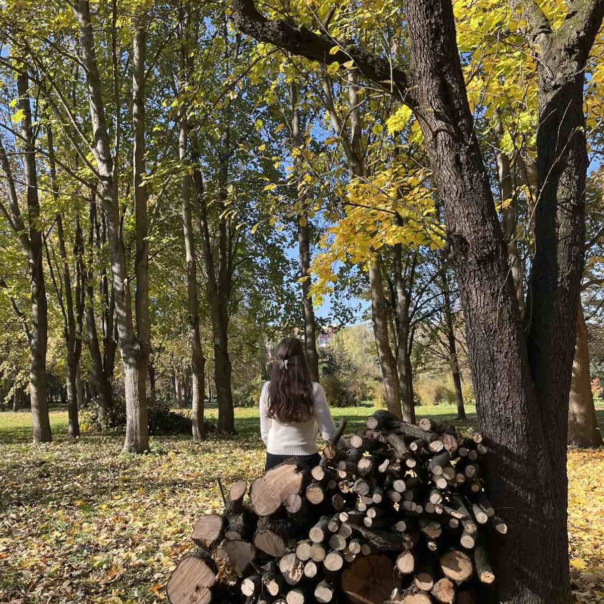 Sit spot practice - CLARITY